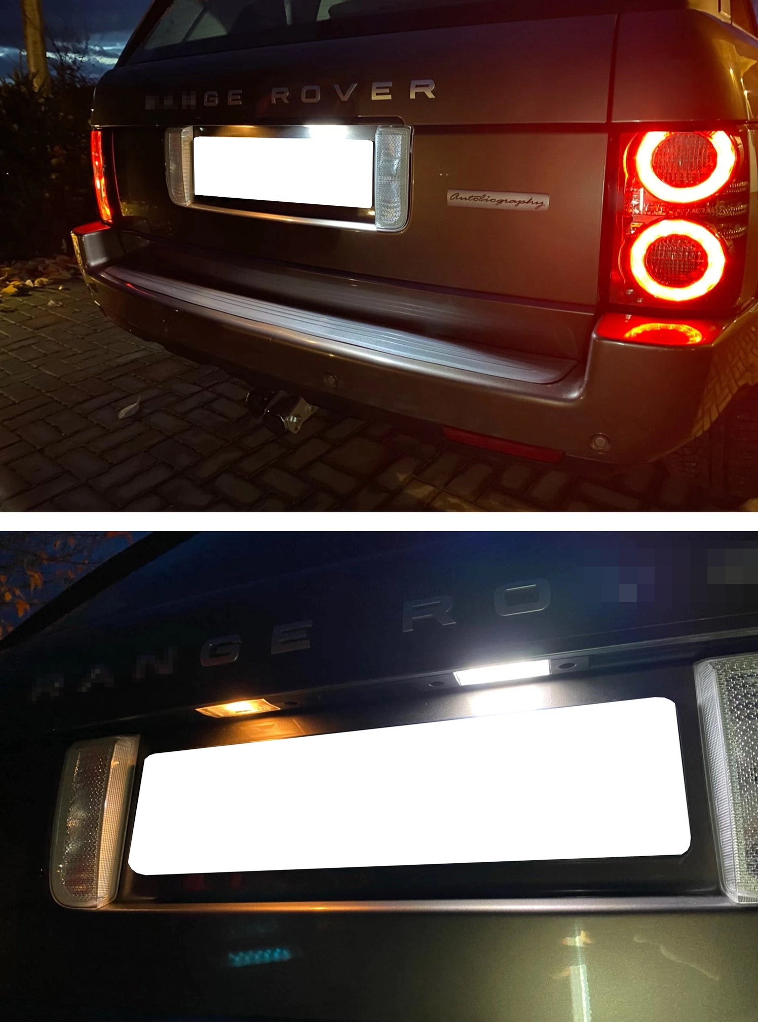 OEM-Replace 3-LED License Plate Light Assy For Range Rover Sport, Disc ...